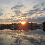 River Cruise Tour with Manatee Viewing - The Experience: What to Expect on the River Cruise