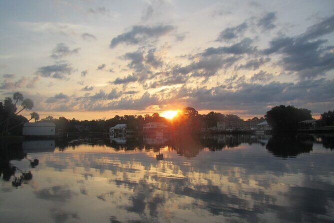 River Cruise Tour with Manatee Viewing - The Experience: What to Expect on the River Cruise