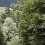 River Rafting Simme with OUTDOOR - The Value of This Tour