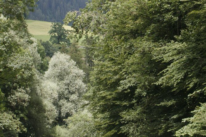 River Rafting Simme with OUTDOOR - The Value of This Tour