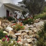 Riverbank Adventure in Naxos (Kinidaros - Eggares) - Analyzing the Cost – Is It Worth It?