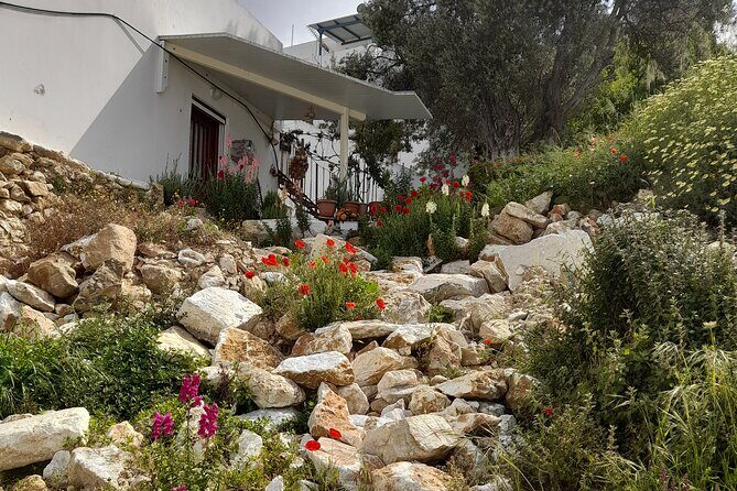 Riverbank Adventure in Naxos (Kinidaros - Eggares) - Analyzing the Cost – Is It Worth It?