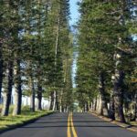 Road to Hana: Full-Day Scenic Drive with Blacksand & Waterfalls - What We Love About This Tour