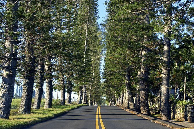 Road to Hana: Full-Day Scenic Drive with Blacksand & Waterfalls - What We Love About This Tour