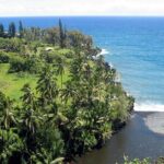 Road to Hana Luxury Limo-Van Tour with Helicopter Flight - Who Will Love This Tour?