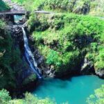 Road to Hana Private Jungle Tour - The Journey Begins: What to Expect from the Tour