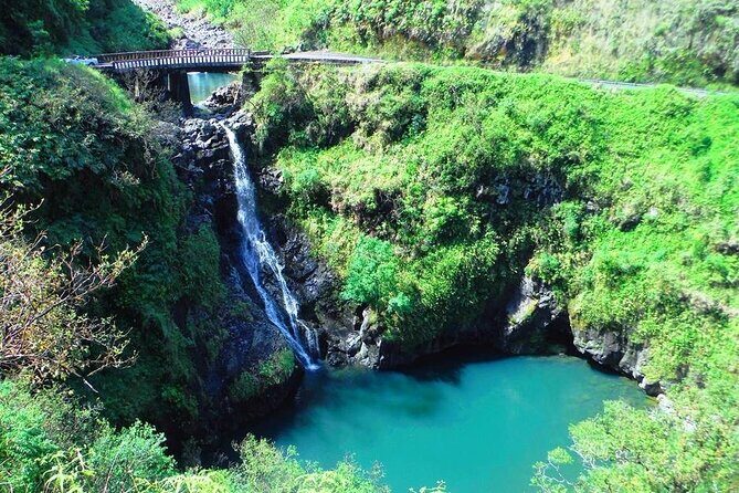 Road to Hana Private Jungle Tour - The Journey Begins: What to Expect from the Tour