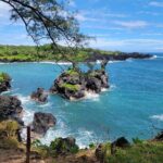 Road to Hana Rainforest, Black Sand Beach, Waterfalls & Lunch - The Value of the Tour