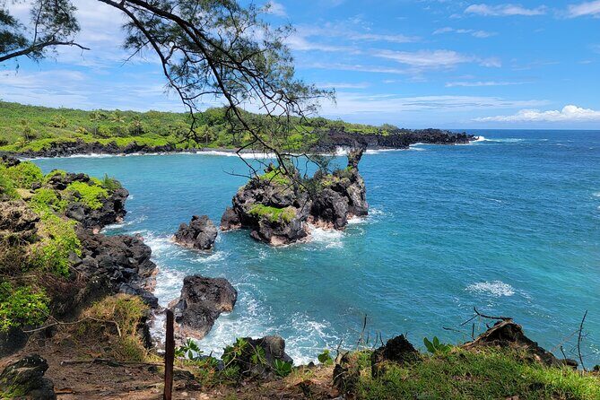 Road to Hana Rainforest, Black Sand Beach, Waterfalls & Lunch - The Value of the Tour