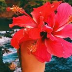 Road To Hana Tour with GO PRO 10 Videography - Final Thoughts on Value and Experience