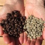 Roast Your Own Coffee - The Itinerary in Detail