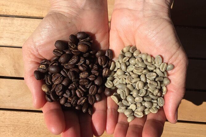 Roast Your Own Coffee - The Itinerary in Detail