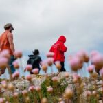 Rock Climbing Trip Algarve - Why This Tour is Worth Considering