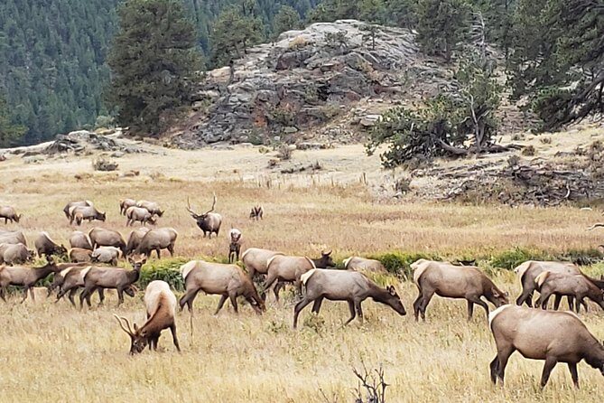 Rocky Mountain National Park and Estes Park Tour from Denver Winter and Spring - Scenic Drive and Boulder En Route