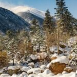 Rocky Mountain National Park Tour - Hidden Valley Sledding Tour - Why This Tour Appeals to Travelers