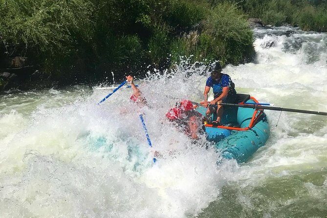 Rogue River Thrill Seeker - Authentic Traveler Insights & Real-Life Experiences