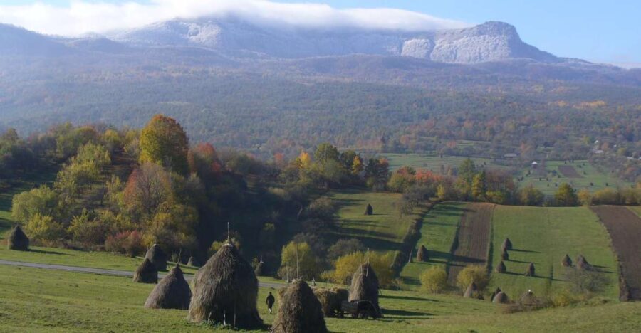 Romania: private 12 days tour with bed and breakfast - Transportation, Accommodation, and Overall Value