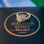 Romantic Kona Coffee & Landing: Private Helicopter Tour - The Experience in Detail
