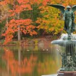 Romantic/Proposal Central Park Carriage Tour (Up to 4 Adults) - The Practical Aspects: Cost, Duration, and Flexibility