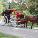 Romantic/Proposal Central Park Carriage Tour Up to 4 Adults - What Does the Price Include?