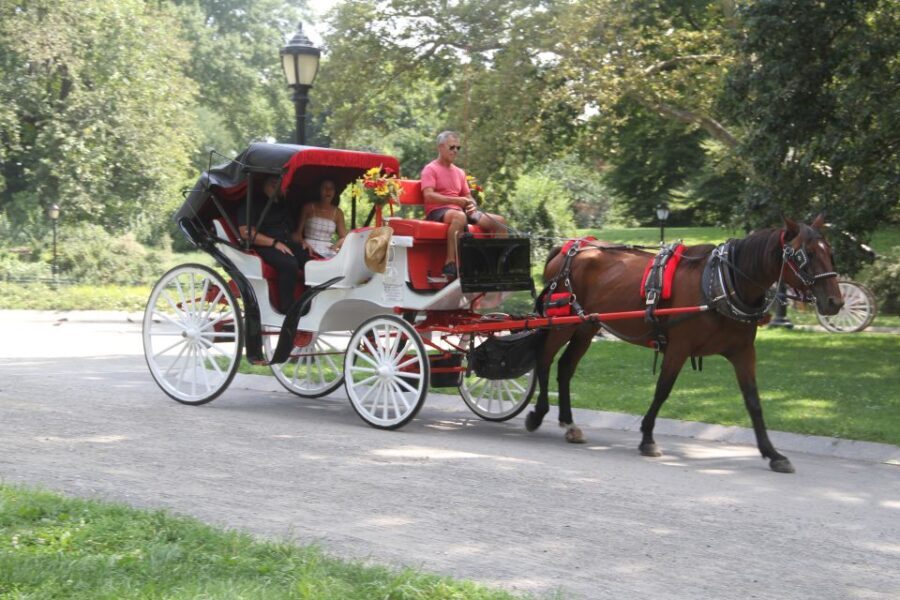 Romantic/Proposal Central Park Carriage Tour Up to 4 Adults - What Does the Price Include?