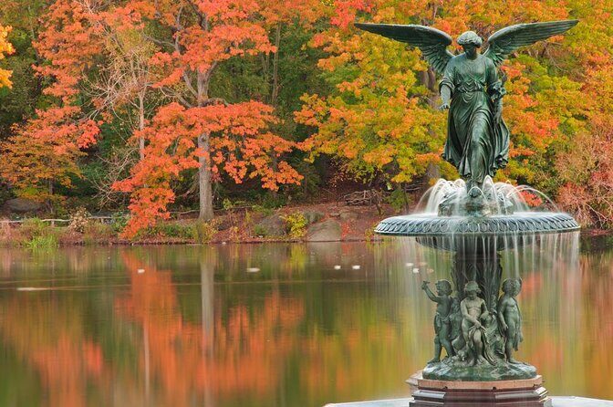 Romantic/Proposal Central Park Carriage Tour (Up to 4 Adults) - The Practical Aspects: Cost, Duration, and Flexibility
