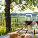 Romantic Road Ticket Würzburg - Rothenburg with Wine Tasting - The Practicalities: What’s Included and What’s Not