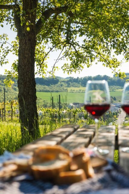 Romantic Road Ticket Würzburg - Rothenburg with Wine Tasting - The Practicalities: What’s Included and What’s Not