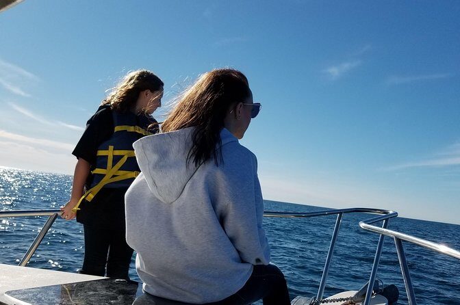 Romantic Wine and Cheese Boat Tower Cruise - The Experience: Views, Food, and Atmosphere
