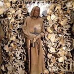 Rome Catacombs Night Tour with Santa Maria Maggiore After Hours - Value and Pricing