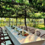 Roshnik: Wine Tasting Experience at the Agrotourism Winery - Is It Worth the Price?