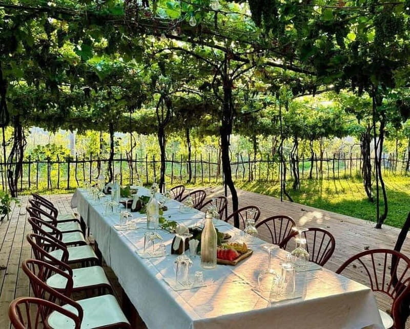 Roshnik: Wine Tasting Experience at the Agrotourism Winery - Is It Worth the Price?
