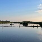 Rotterdam: green heart Midden-Delfland: Luxury Boat Tour - The Boat: Comfort and Style