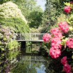 Rotterdam: Trompenburg Botanical Gardens Entry Ticket - The Value of the Experience