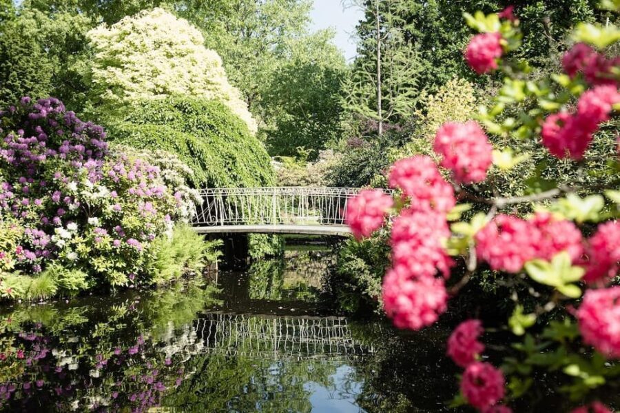 Rotterdam: Trompenburg Botanical Gardens Entry Ticket - The Value of the Experience