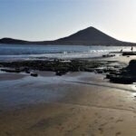 Round The Island Trip Without Teide VIP TOUR - Catching the Balance: Pros and Cons