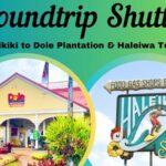 Roundtrip Shuttle From Waikiki to Dole Plantation & Haleiwa Town - Authenticity and Local Insights