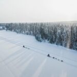 Rovaniemi: Arctic Circle Long Trail Husky Adventure - Who Should Consider This Tour?
