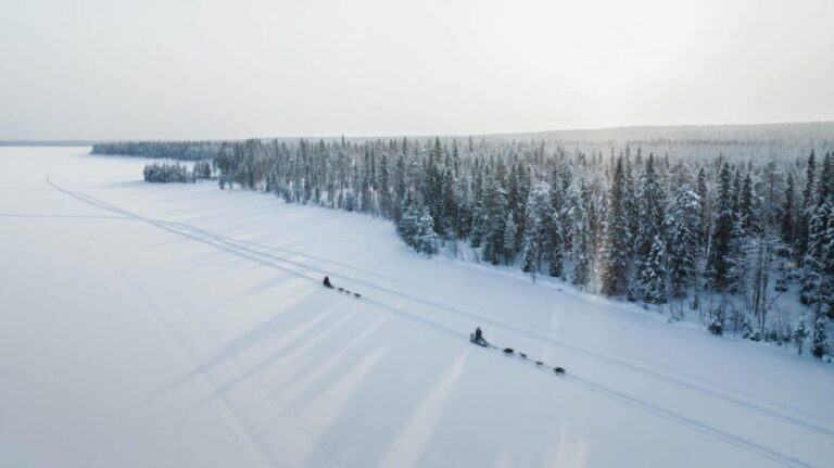 Rovaniemi: Arctic Circle Long Trail Husky Adventure - Who Should Consider This Tour?