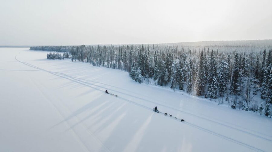 Rovaniemi: Arctic Circle Long Trail Husky Adventure - Who Should Consider This Tour?