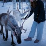 Rovaniemi: Arctic Reindeer Experience with Lunch - The Practicalities: What to Expect