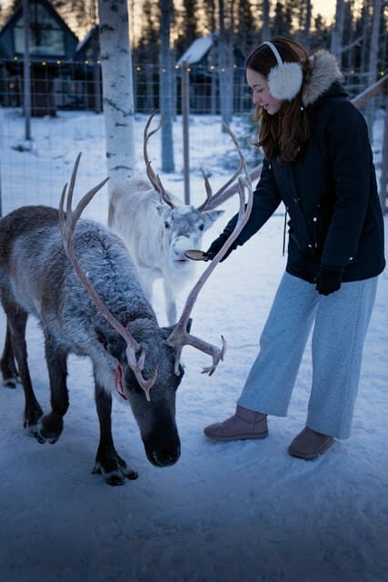 Rovaniemi: Arctic Reindeer Experience with Lunch - The Practicalities: What to Expect
