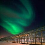 Rovaniemi: Arktikum Science Centre and Museum Entry Ticket - What’s Not to Miss