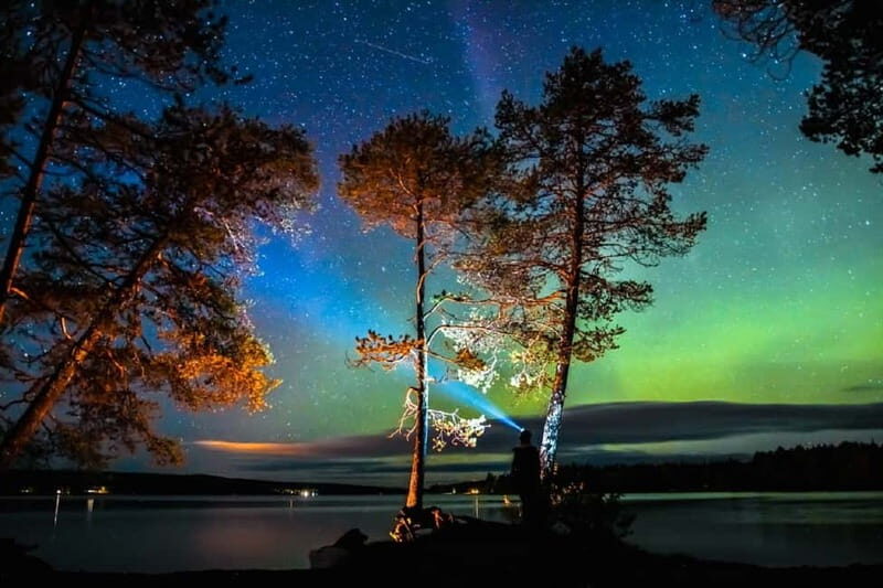 Rovaniemi: Aurora Borealis Autumn Picnic - Who Should Consider This Tour?