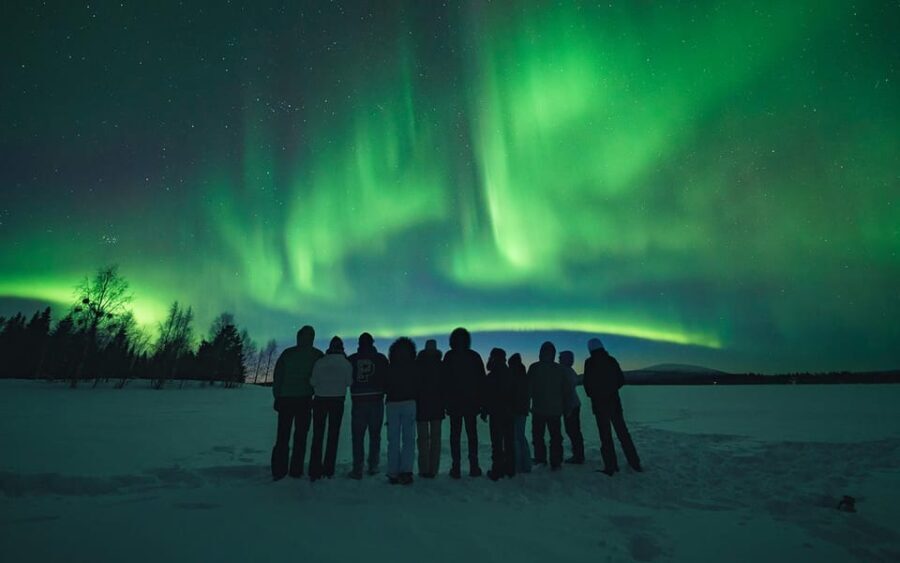 Rovaniemi: Aurora Hunt with Photos and Money Back Guarantee - Could You Make This Experience Better? Considerations
