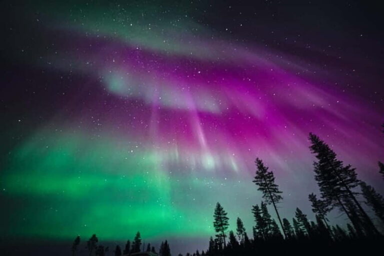 Rovaniemi: Aurora Hunting Group Tour - Guaranteed View - Why This Tour Stands Out