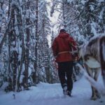 Rovaniemi: Authentic Lapland Reindeer Farm Visit & Sled Ride - Who Should Book This Tour?