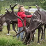 Rovaniemi: Autumn Reindeer Farm Visit - What to Expect During the Tour