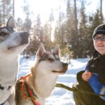 Rovaniemi: Daytime Husky Safari - The Experience in Detail