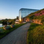 Rovaniemi: Discover Hidden Gems with Polaroid Photos - An Authentic Glimpse of Rovaniemi: What the Tour Offers